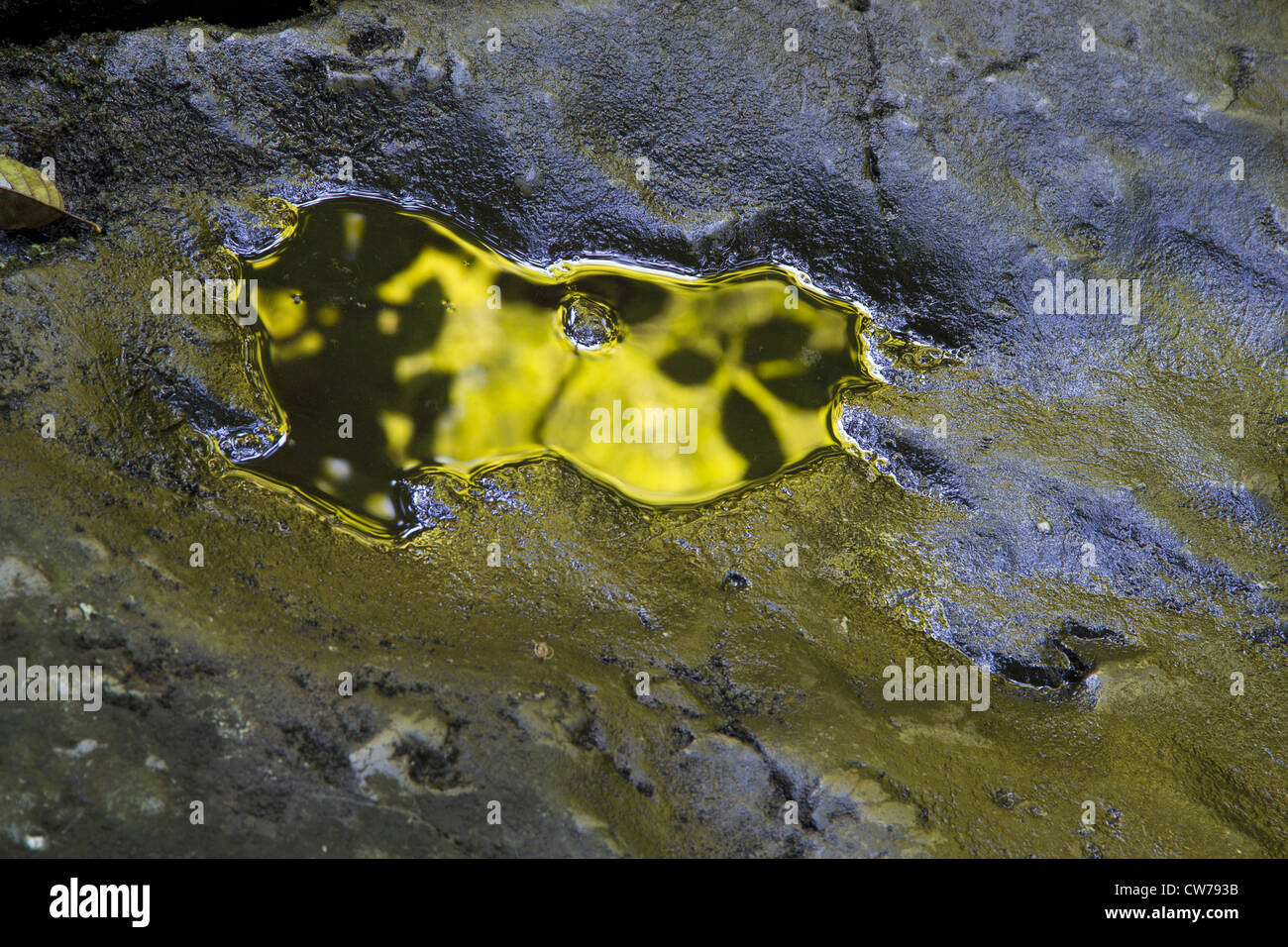 Puddle of mud from above hi-res stock photography and images - Alamy
