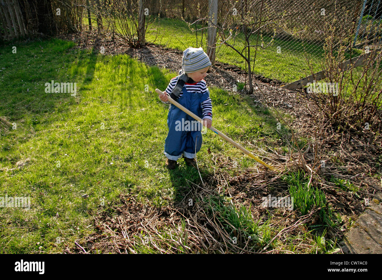 little boy raking flower bed, Germany Stock Photo - Alamy