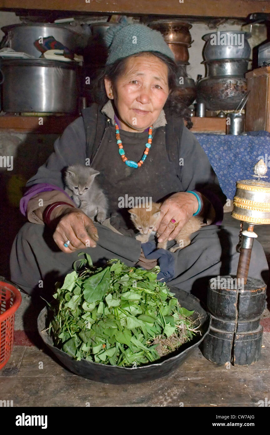 Woman from ladakh traditional hi-res stock photography and images - Alamy