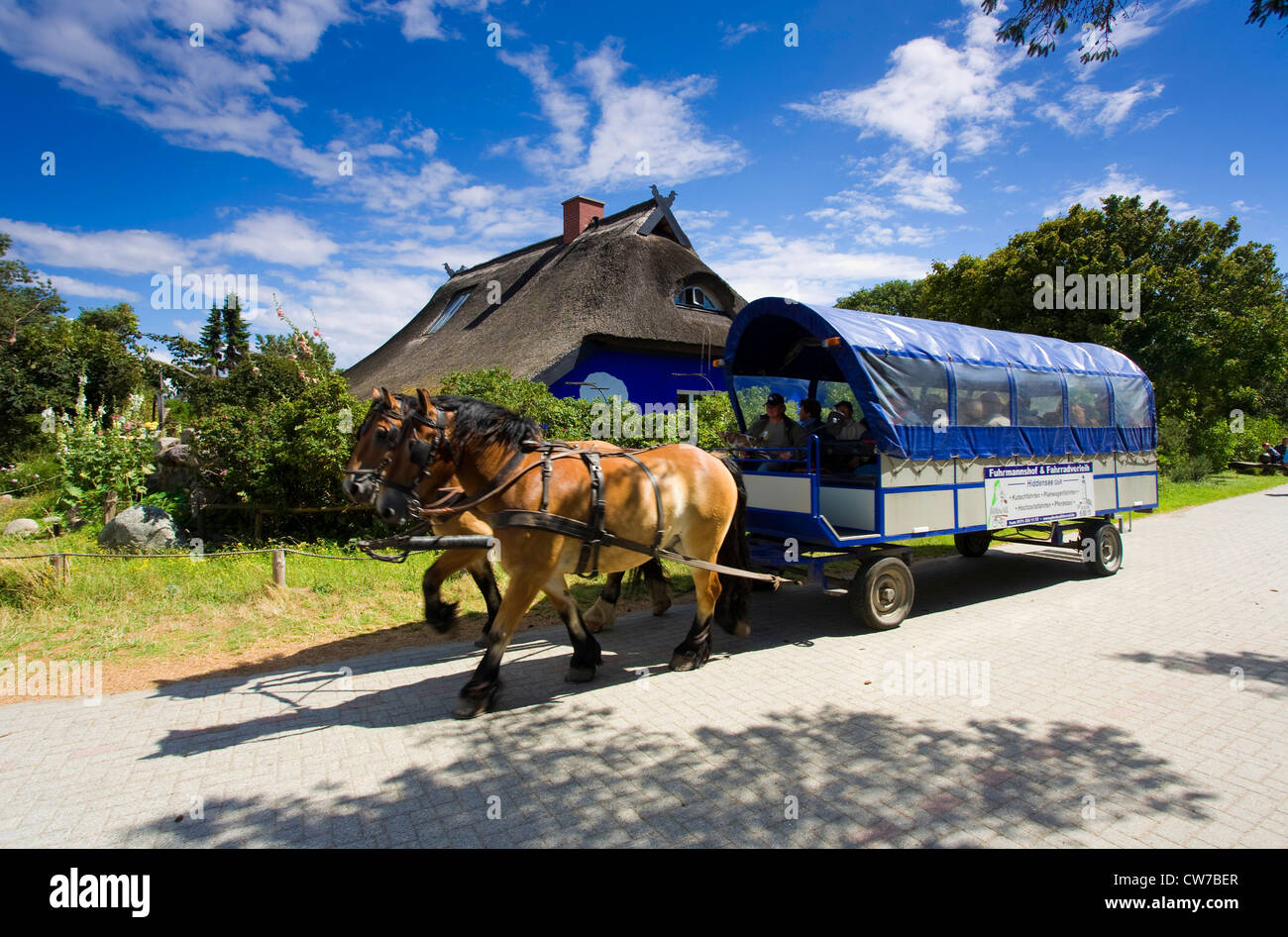 carriage in front of farm house, Germany, Mecklenburg-Western Pomerania ...
