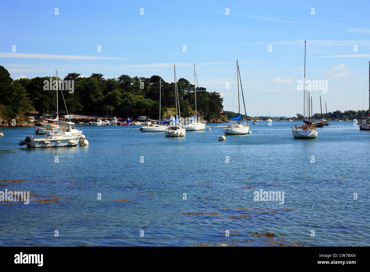 la Marle river from Moreac, Vannes, Golfe de Morbihan, Morbihan ...