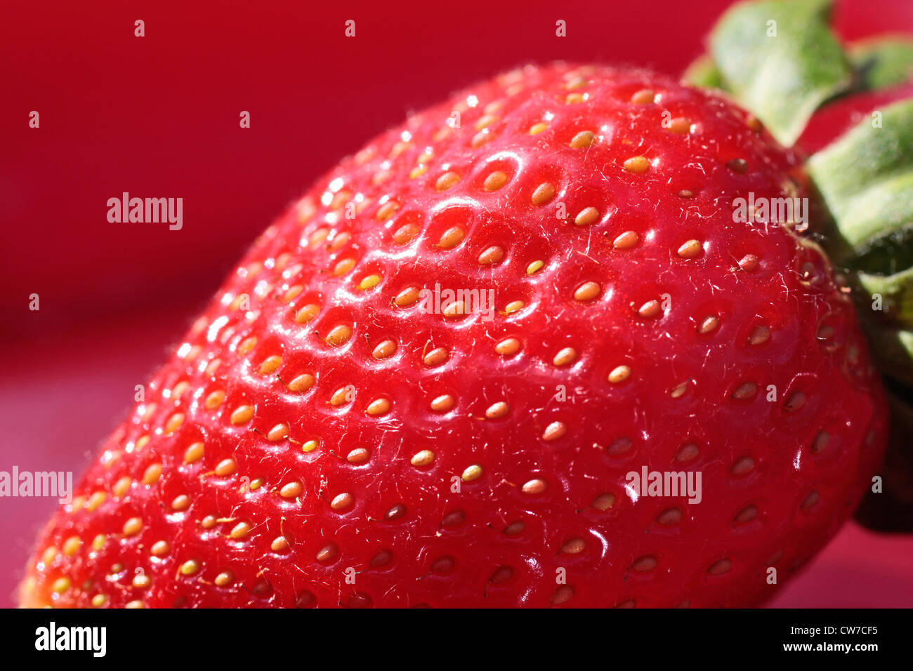 The perfect berry hi-res stock photography and images - Alamy