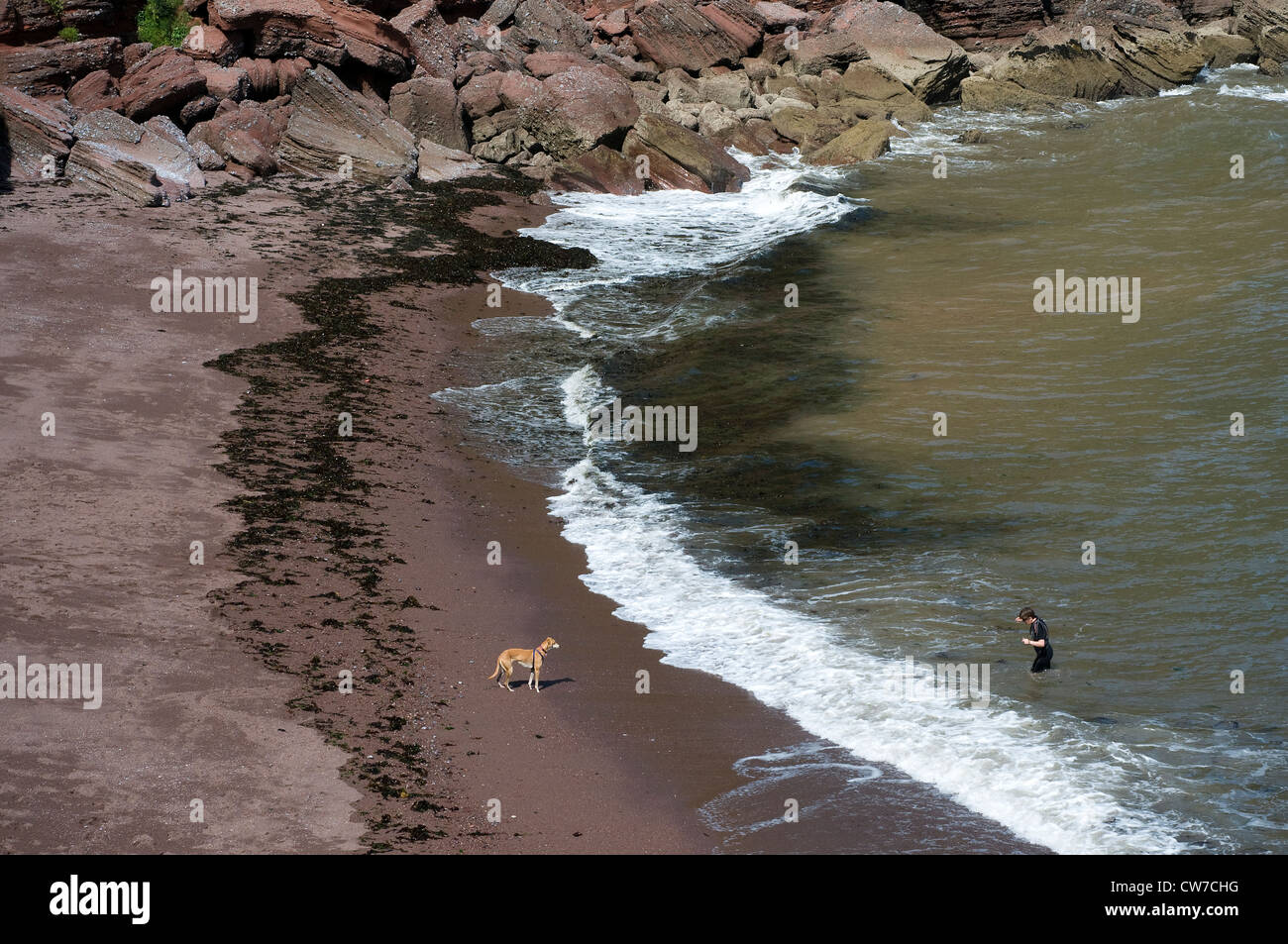 Maidencombe beach hi-res stock photography and images - Alamy