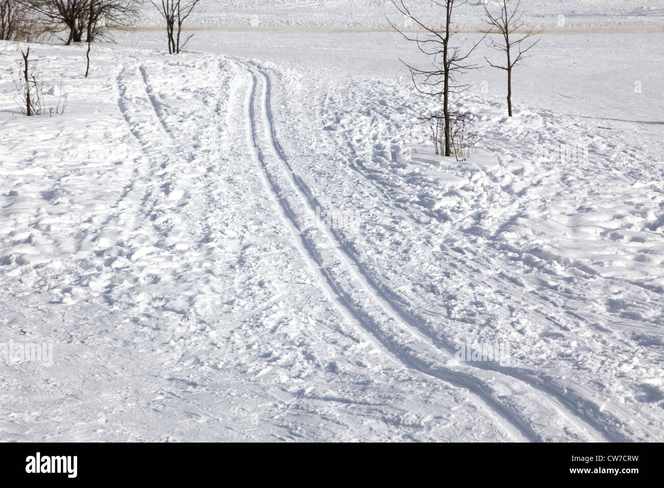 Cross country ski track tracks hi-res stock photography and images - Alamy