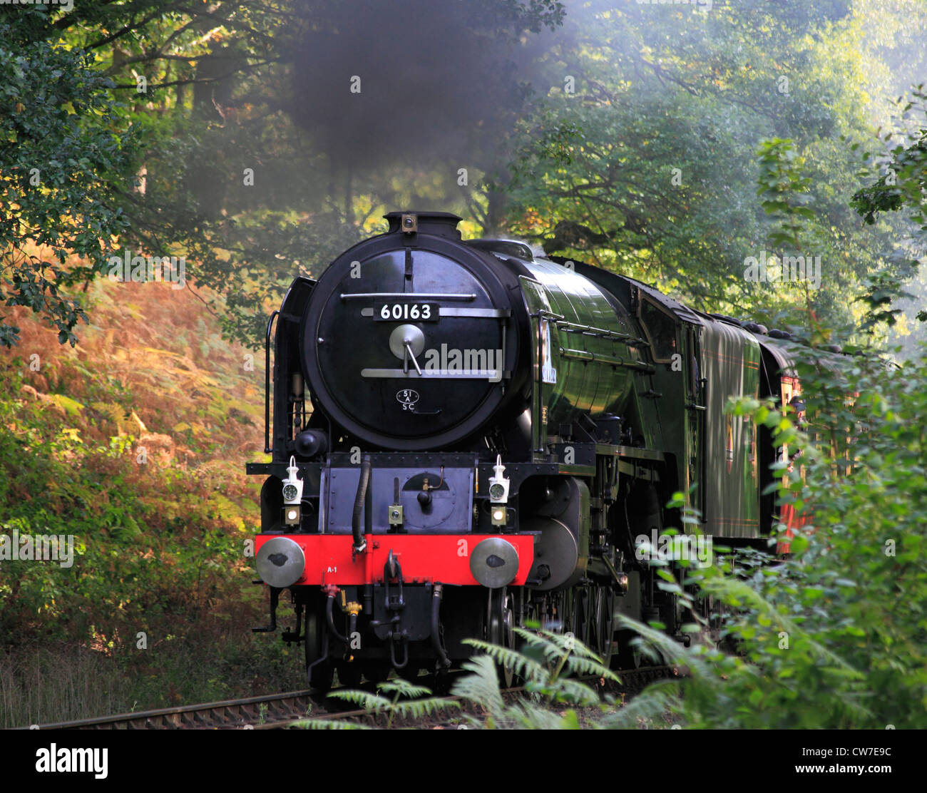 'New Build' Peppercorn A1 'Pacific' No. 60163 Tornado steams through ...