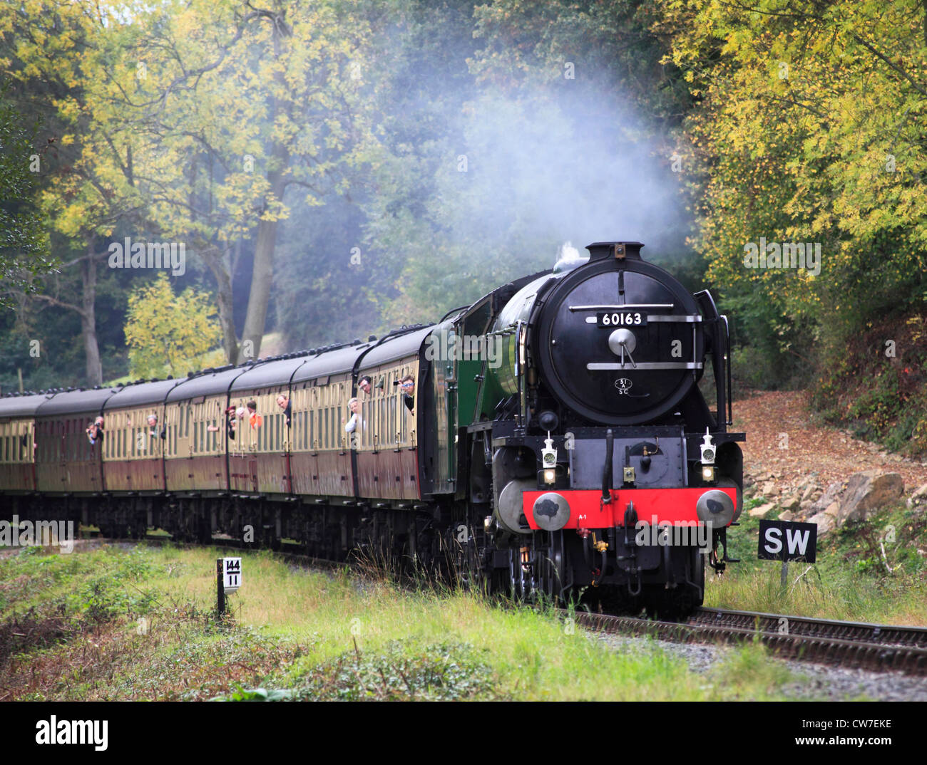 'New Build' Peppercorn A1 'Pacific' No. 60163 Tornado thunders towards ...