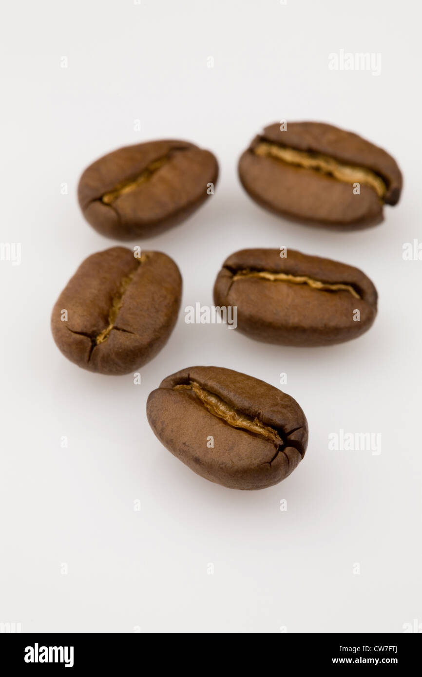 The five food groups hi-res stock photography and images - Alamy