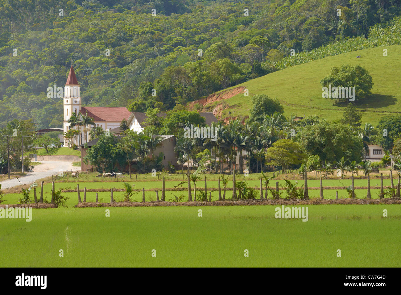 Rural brazil village hi-res stock photography and images - Alamy