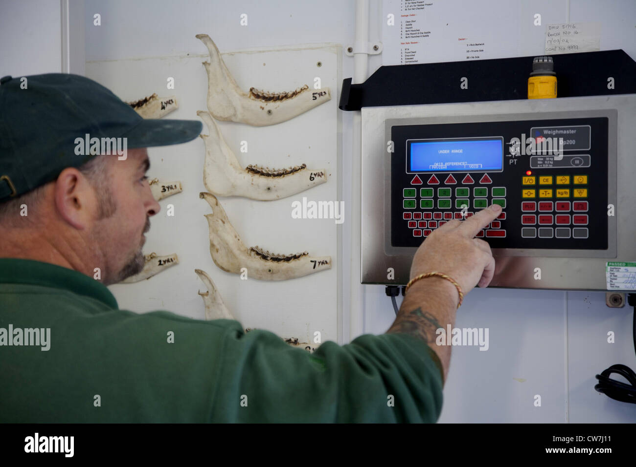 Human carcass hi-res stock photography and images - Alamy