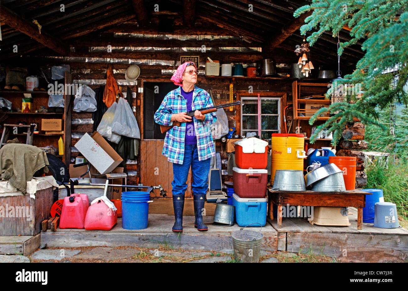 romantic cabin at Brooks Range, USA, Alaska Stock Photo - Alamy