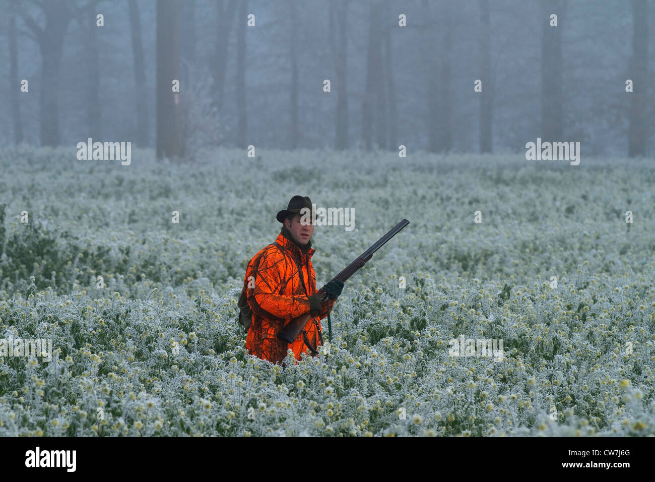 Hoar men hi-res stock photography and images - Alamy