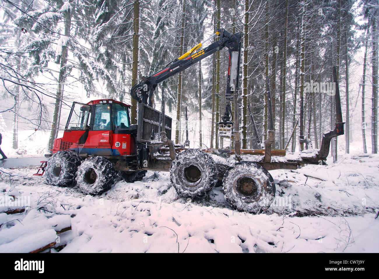 harvesting of timber, Germany Stock Photo - Alamy