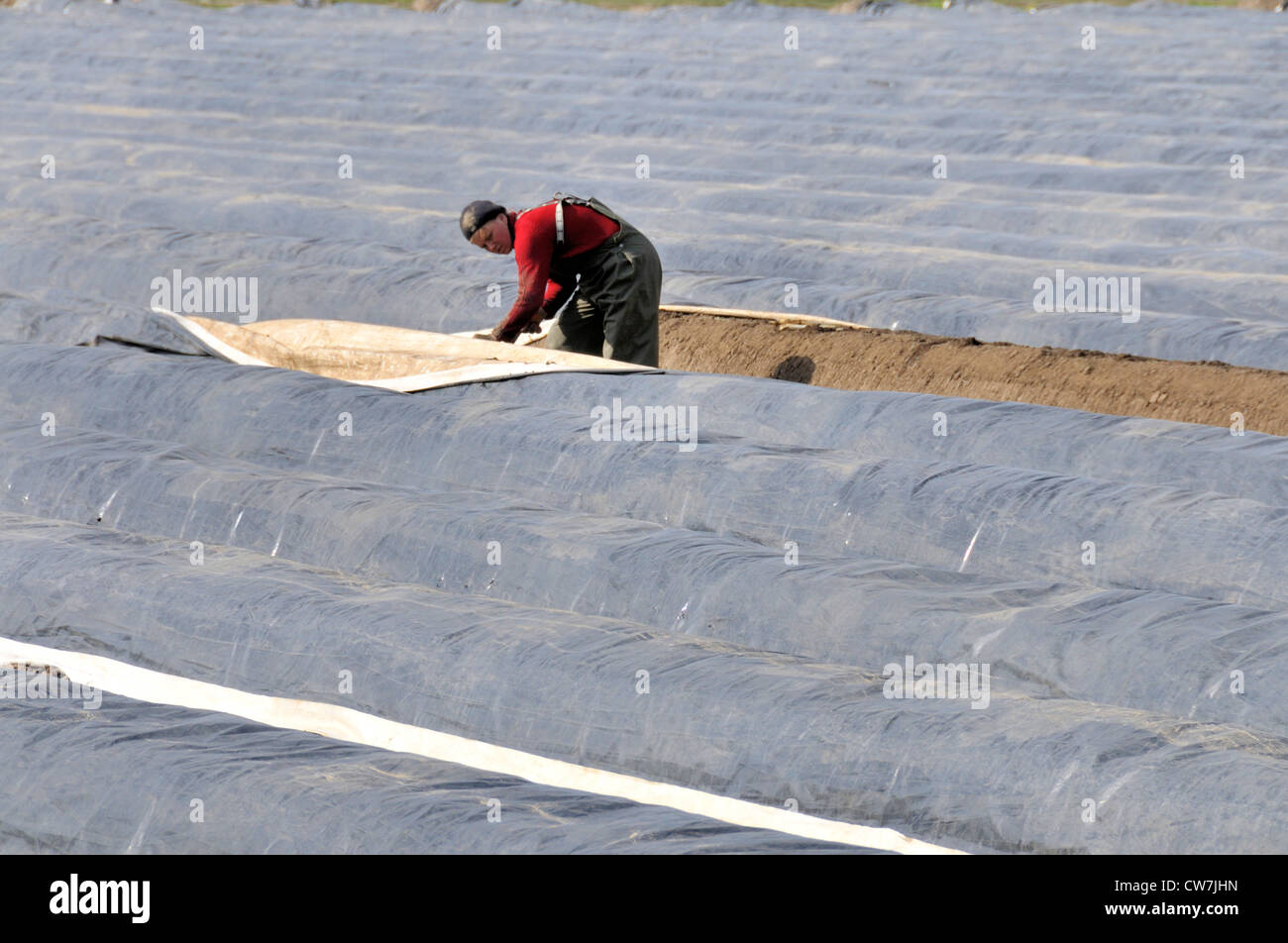 Human person helper hi-res stock photography and images - Alamy