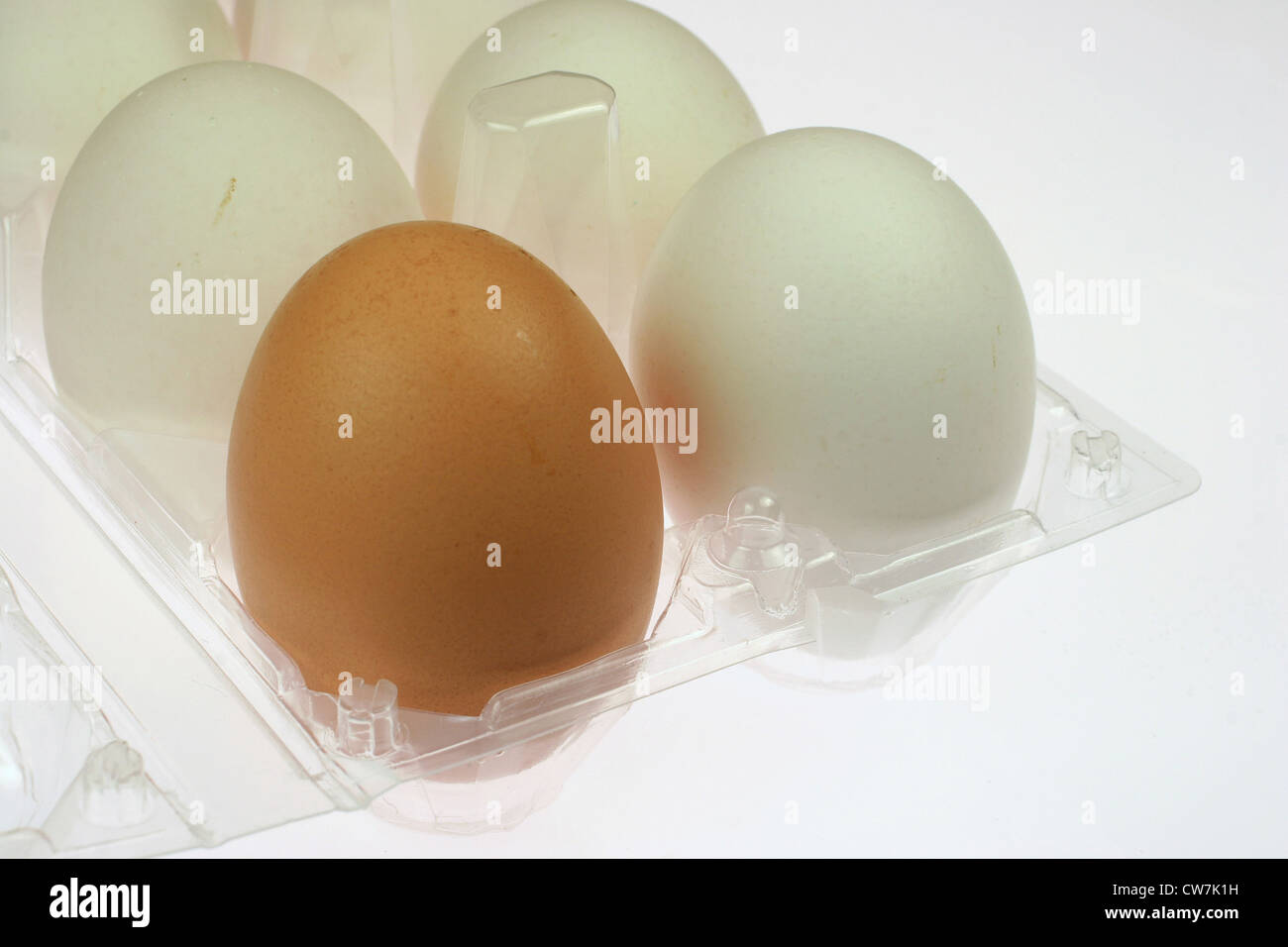 Egg boxes studio hi-res stock photography and images - Alamy