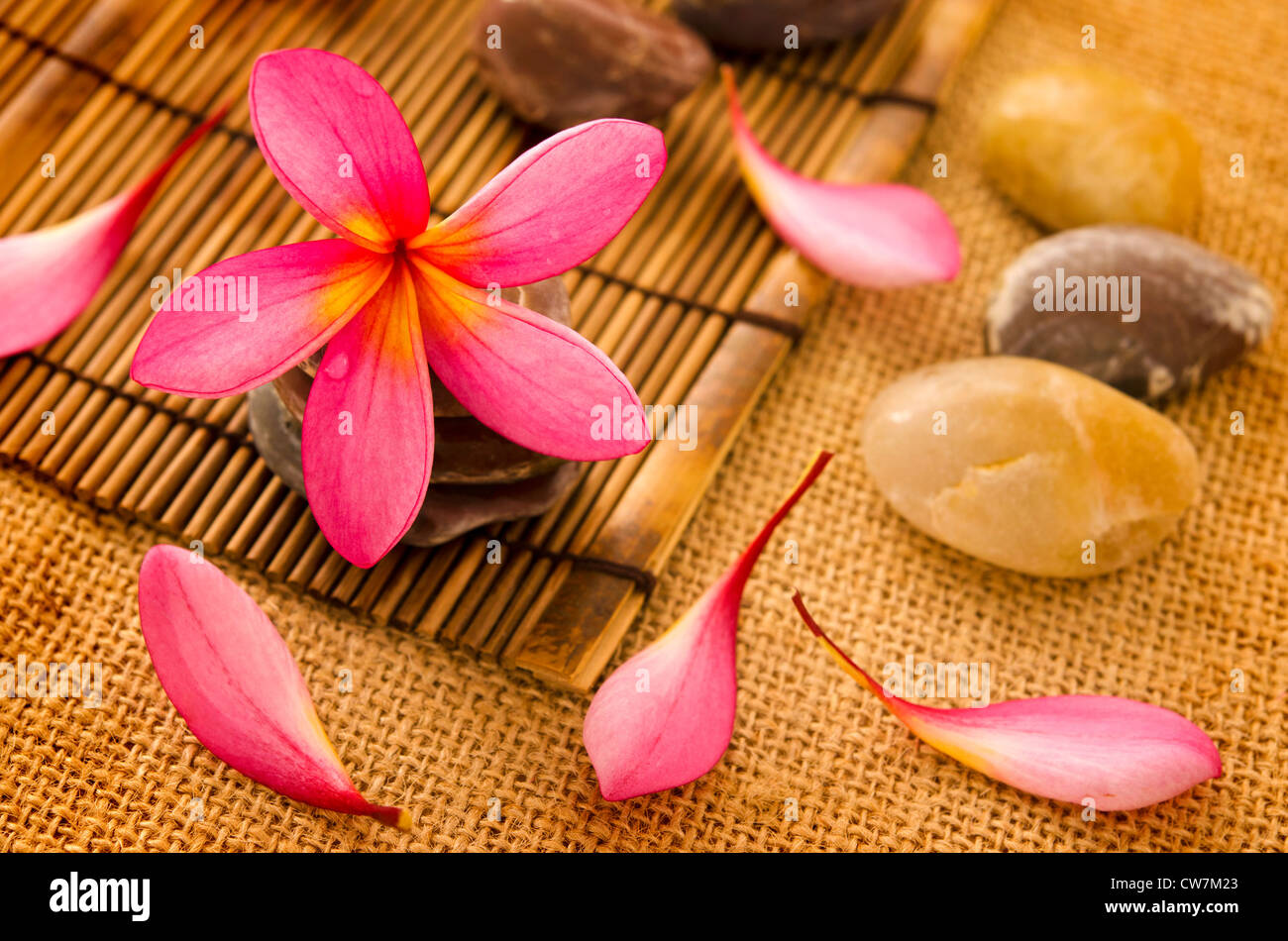 Tropical spa with frangipani flowers Stock Photo - Alamy