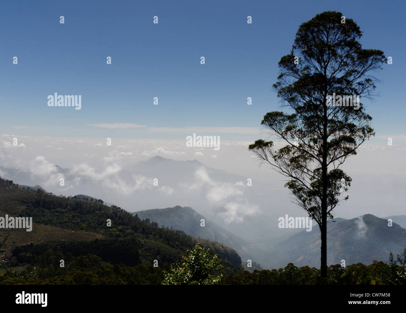 Coakers walk kodaikanal tamil nadu hi-res stock photography and images ...