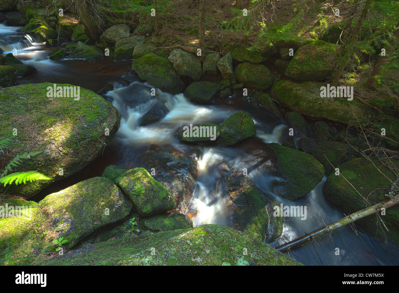 The river runs over boulders in the primeval forest Stock Photo - Alamy