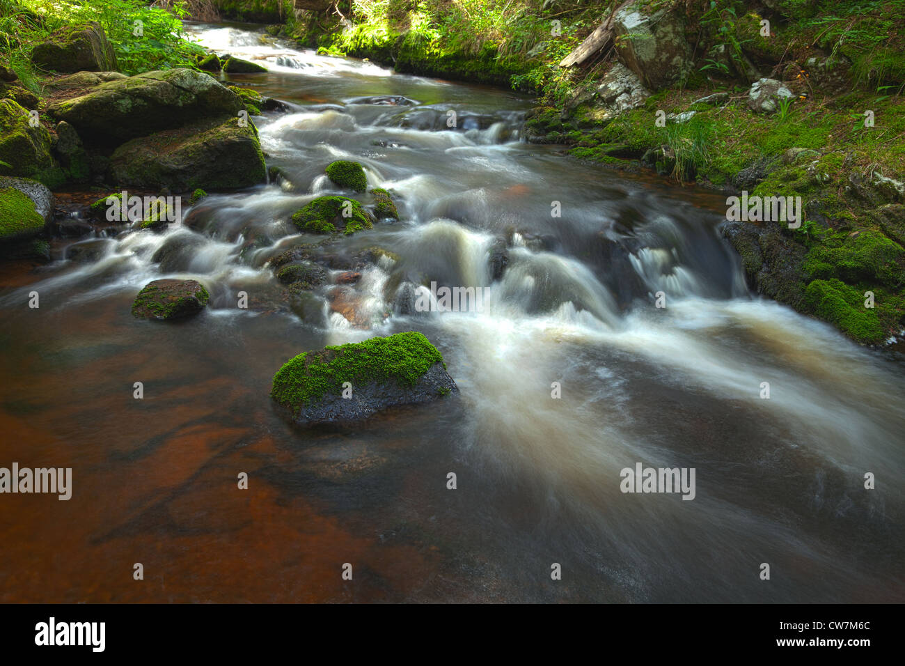 The river runs over boulders in the primeval forest Stock Photo - Alamy
