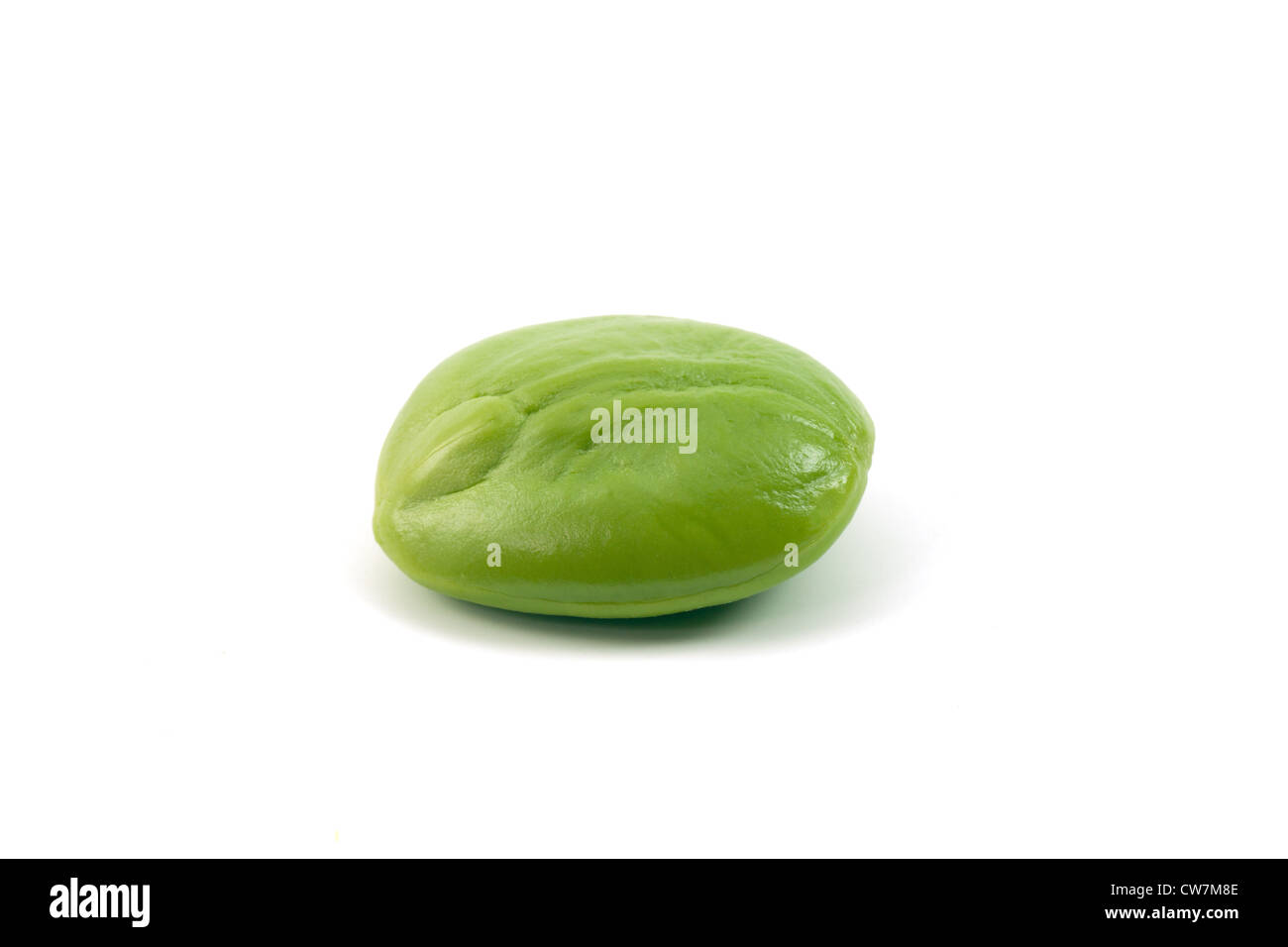 Whole single petai bean close up isolated on white background Stock ...