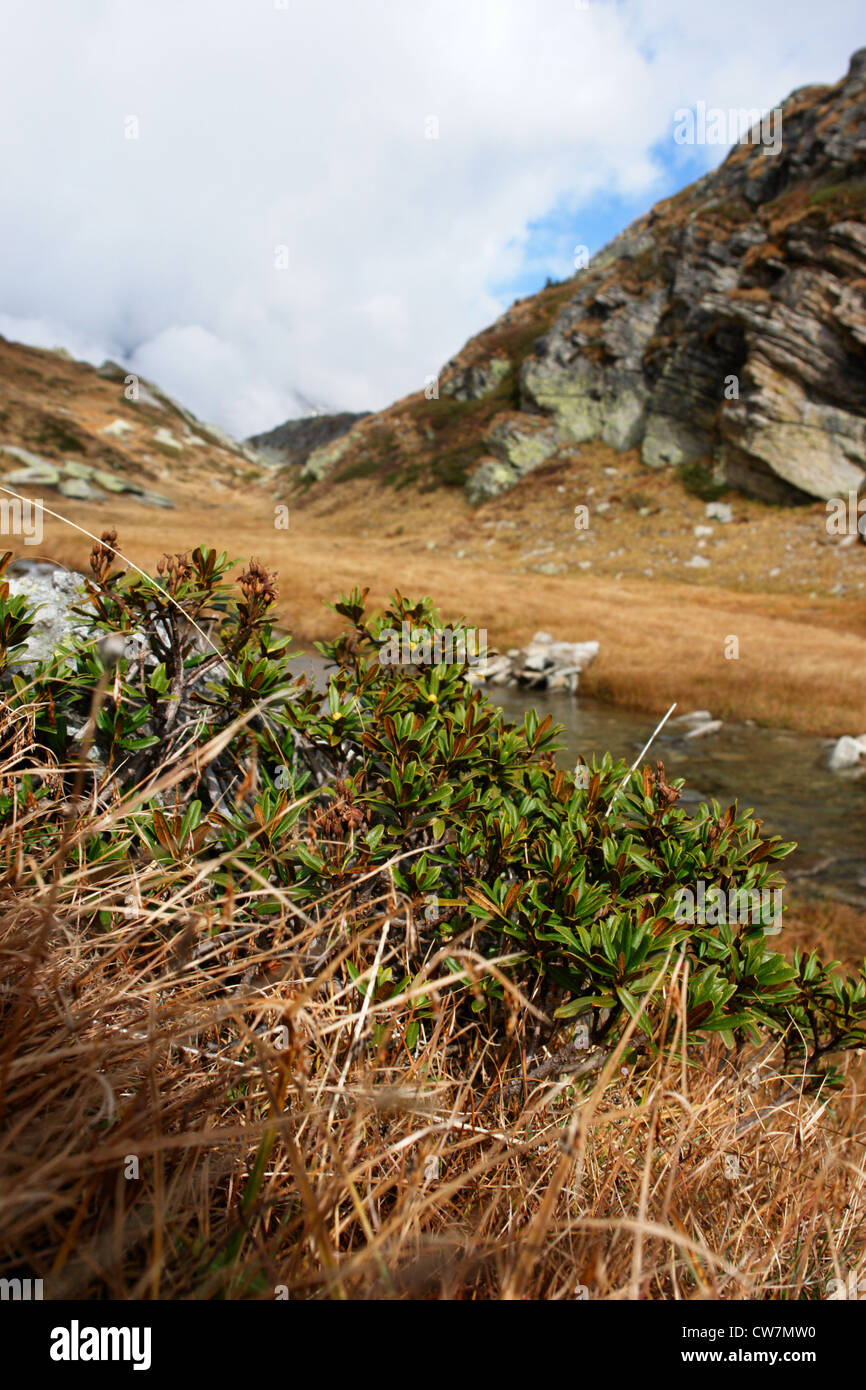 Alpine pass in switzerland Stock Photo - Alamy