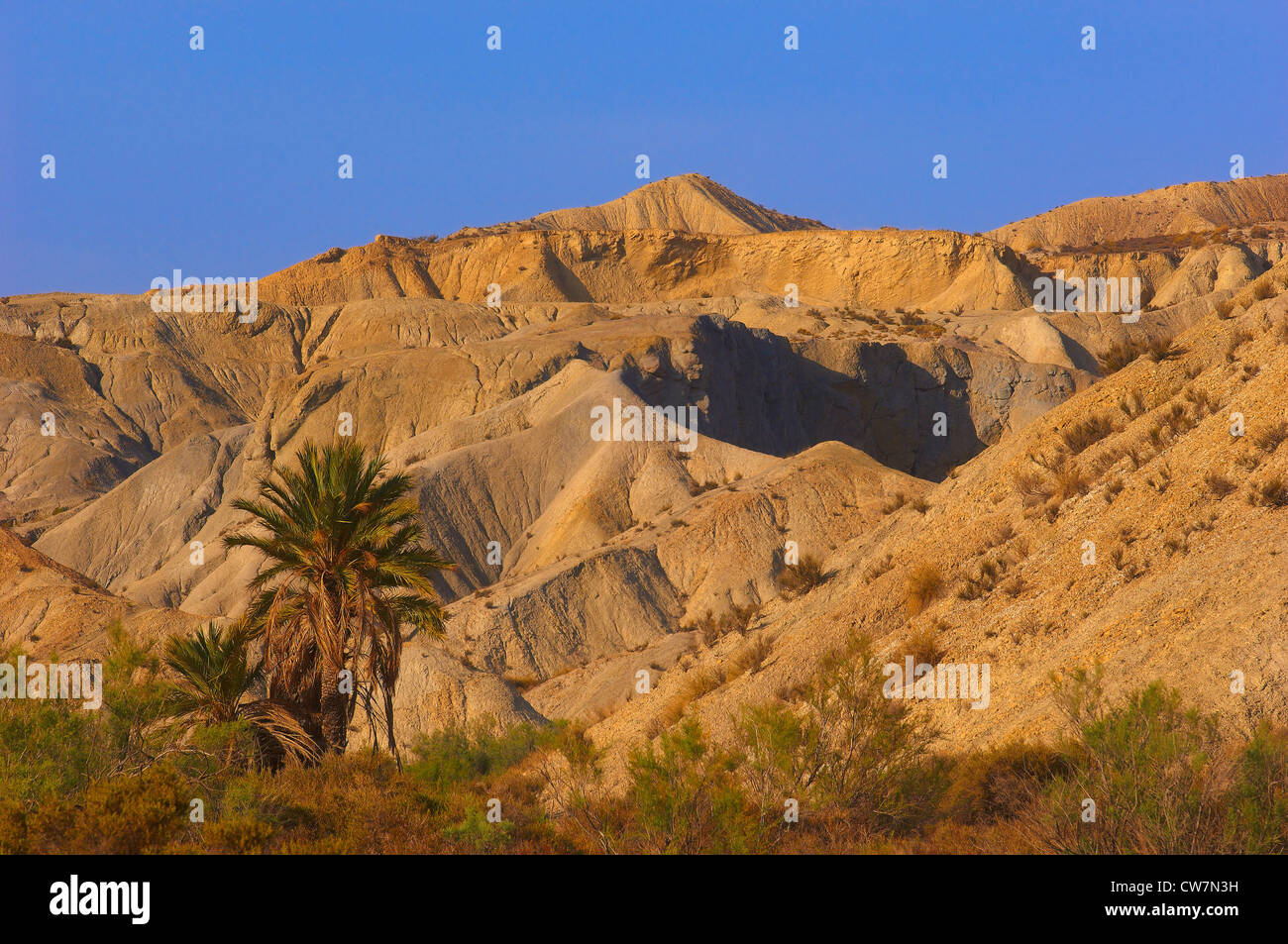 Tabernas, Tabernas Desert, Tabernas Desert Natural Park, Almeria ...