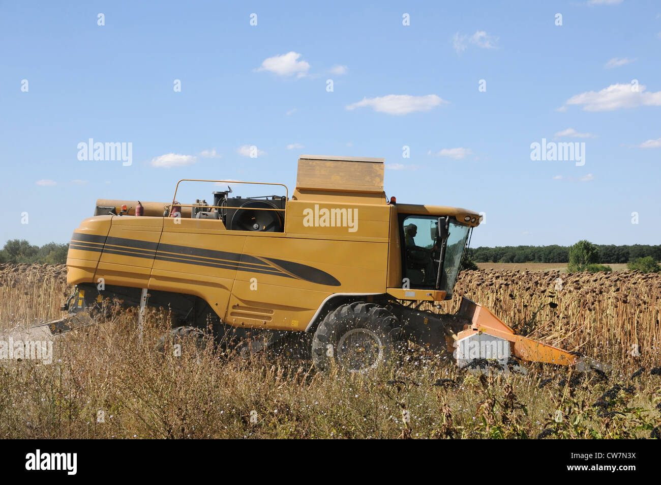 Agricultural activities hi-res stock photography and images - Alamy