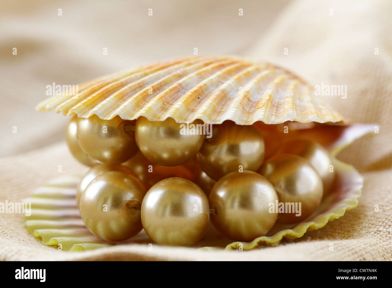 pearl necklace in shell on a beige background Stock Photo - Alamy
