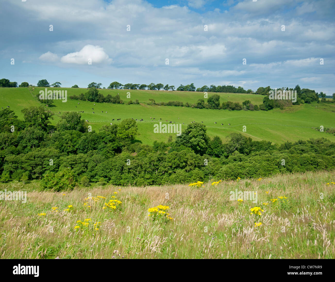 Rural Countryside on the approach path to Crichton Castle, Pathead ...