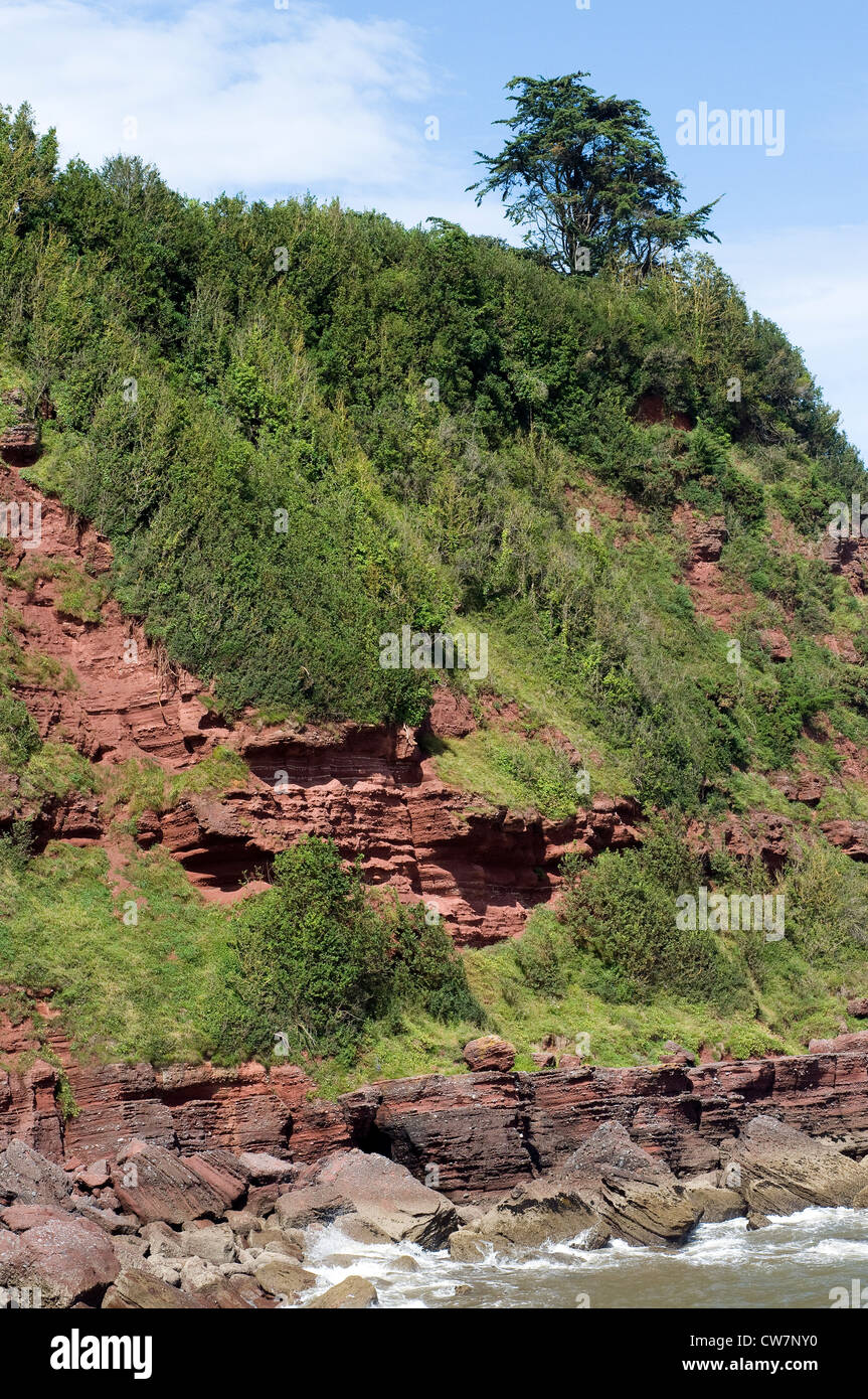 Watcombe beach hi-res stock photography and images - Alamy