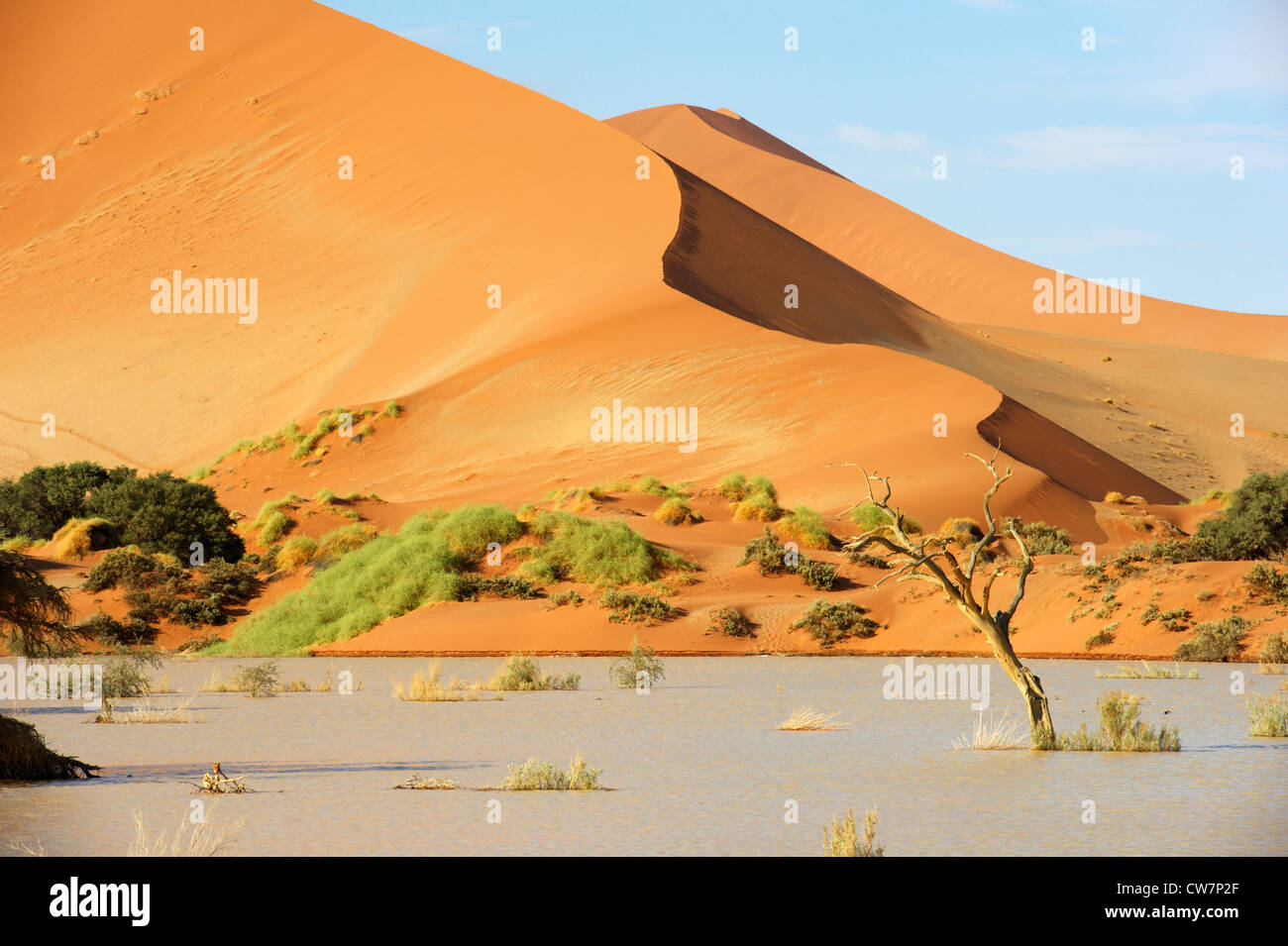 Heavy rain floods the claypan at Sossusvlei, Namib-Naukluft NP, Namibia ...