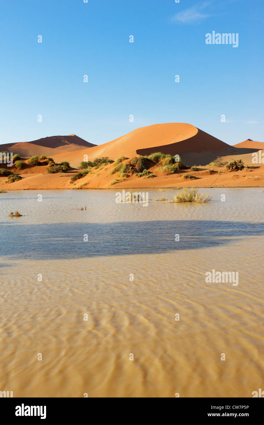 Heavy rain floods the claypan at Sossusvlei, Namib-Naukluft NP, Namibia ...