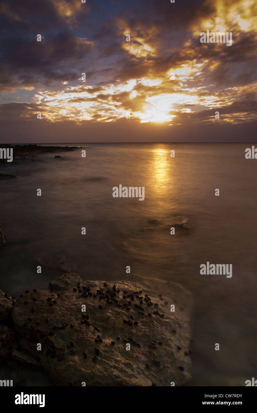 Snails pace hi-res stock photography and images - Alamy