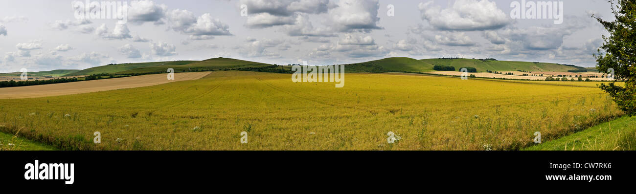 Panoramic view of the Pewsey Downs, Wiltshire, UK Stock Photo - Alamy