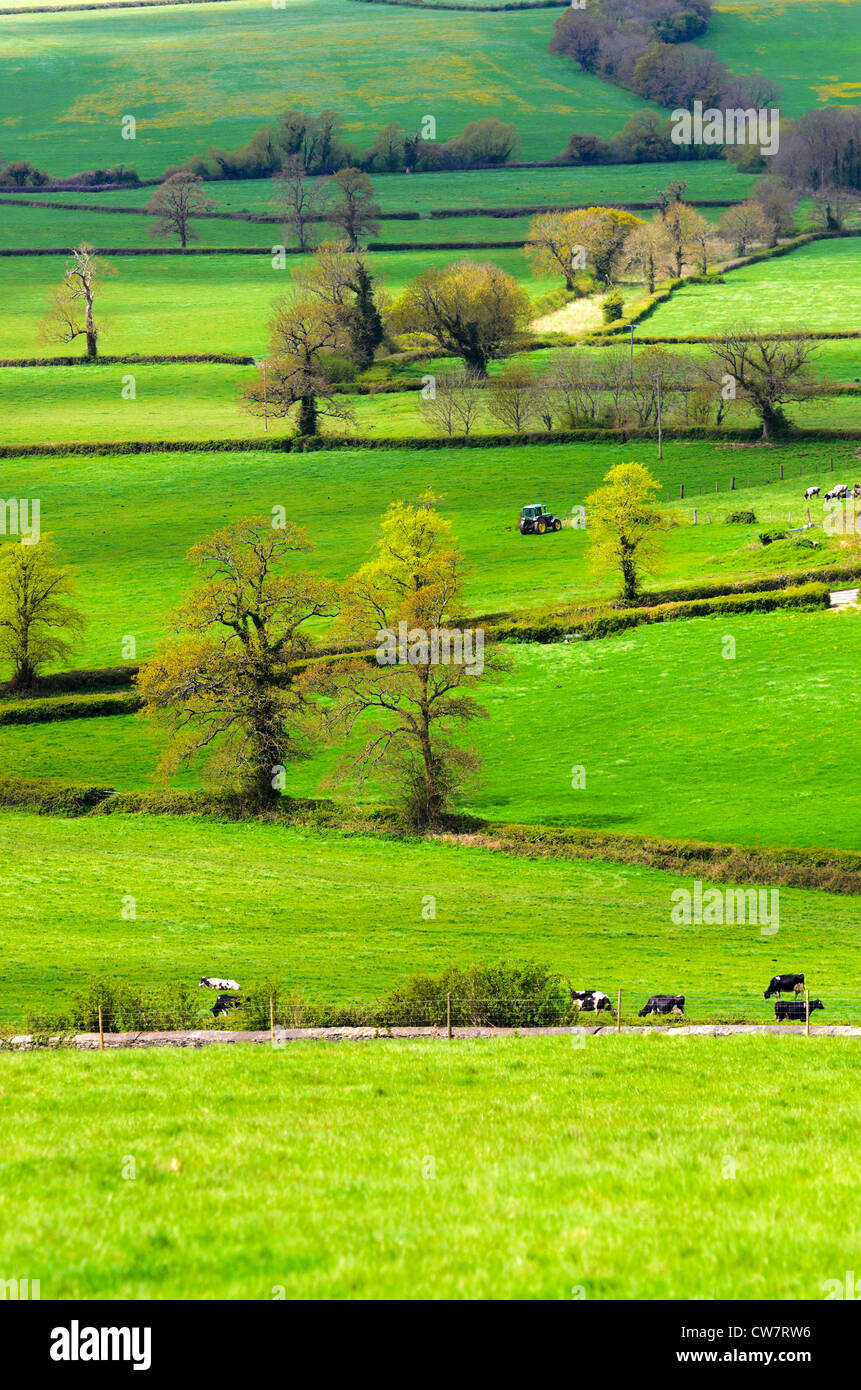 View across open fields near Pucklechurch in South Gloucestershire ...