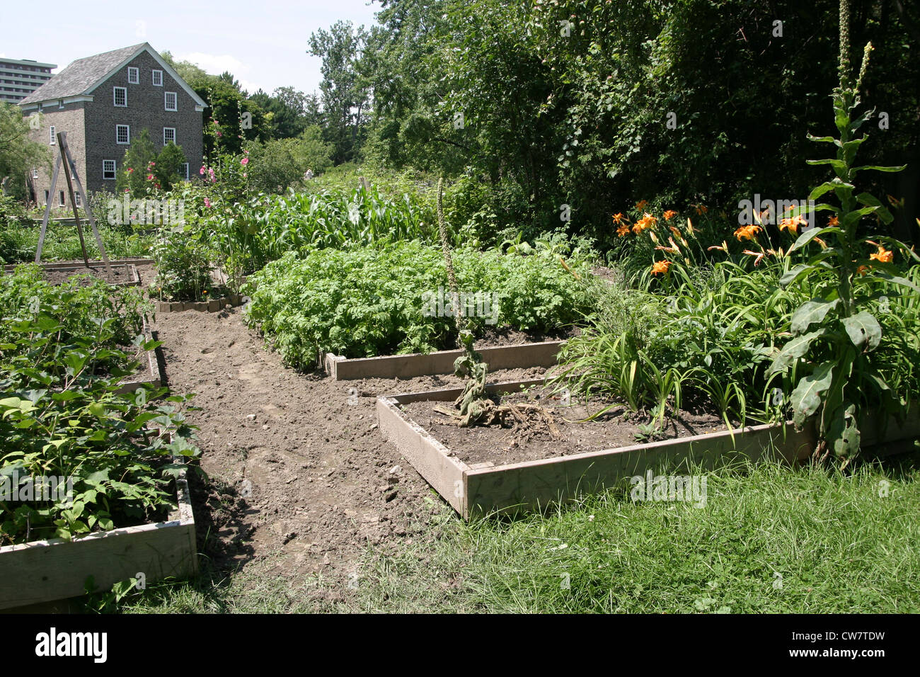 Old Vegetable Garden