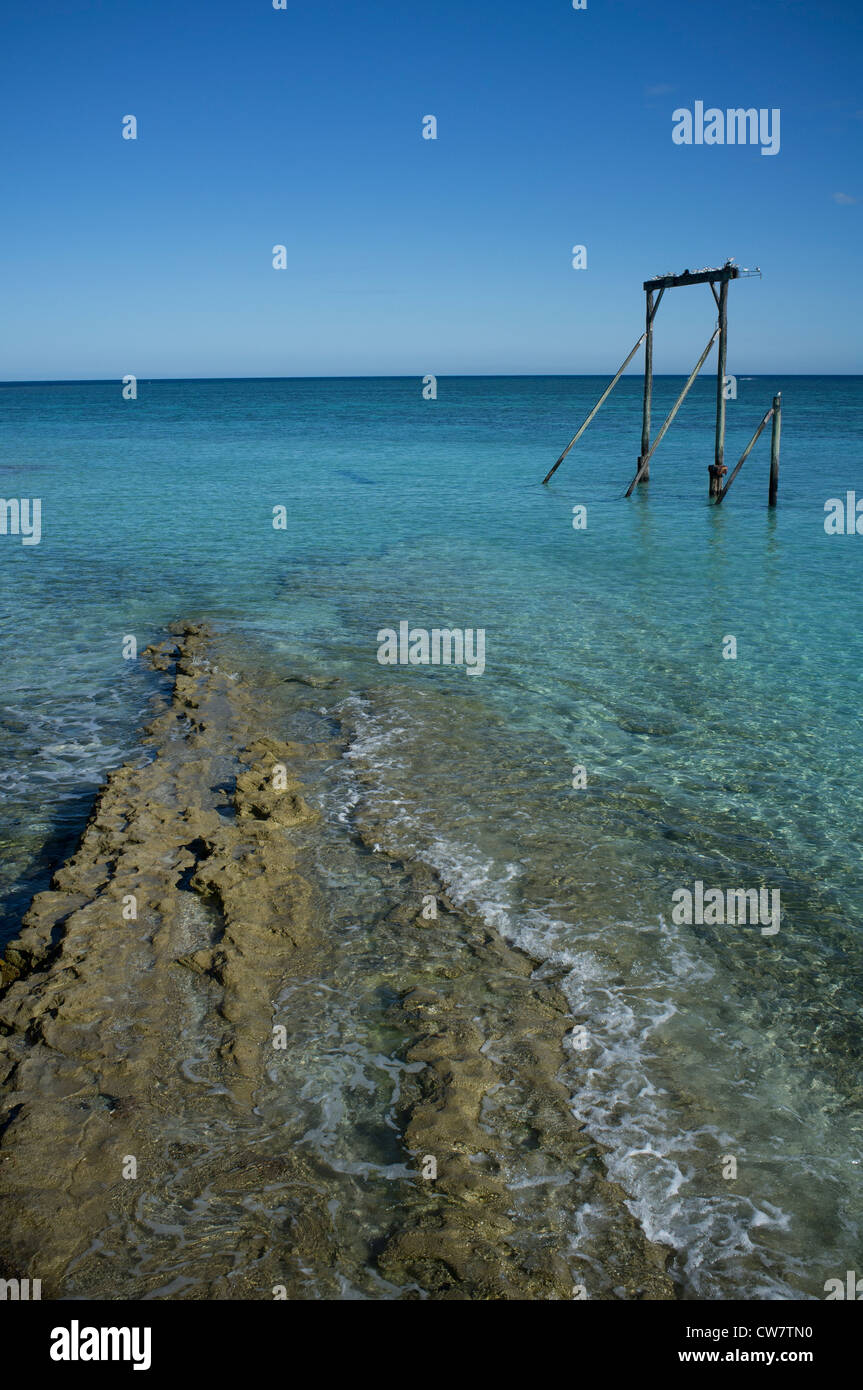 Great barrier reed hi-res stock photography and images - Alamy
