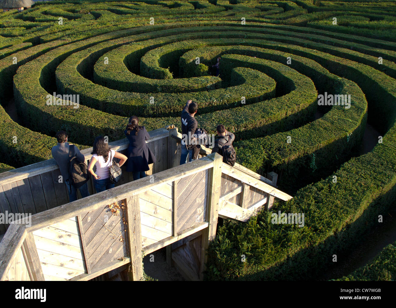 People looking at the Maze at Longleat Stock Photo - Alamy