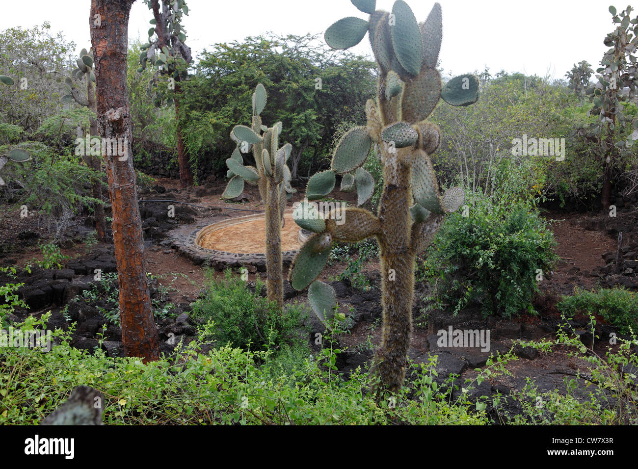 George colon hi-res stock photography and images - Alamy