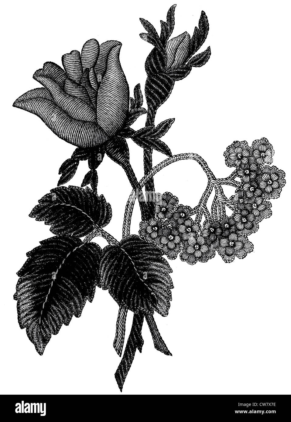 Embroidery to all Cut Out Stock Images & Pictures - Alamy