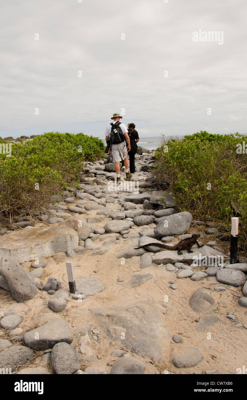 Ecuador, Galapagos, Espanola, Punta Suarez. Island tourists on rocky ...