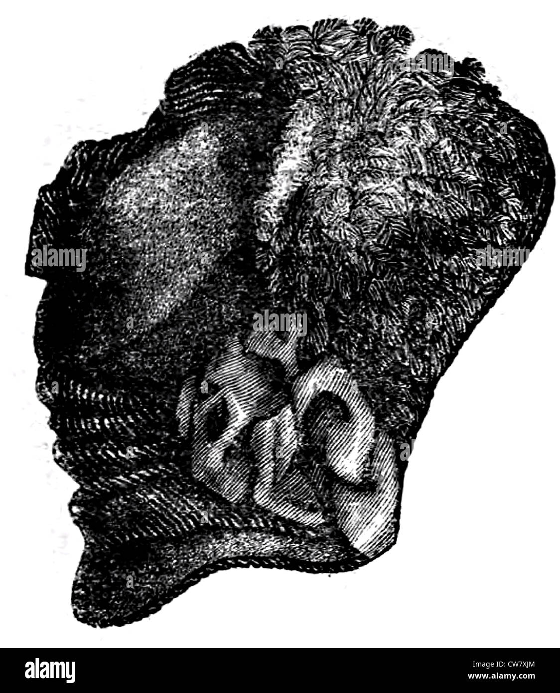 Hat image Black and White Stock Photos & Images - Alamy