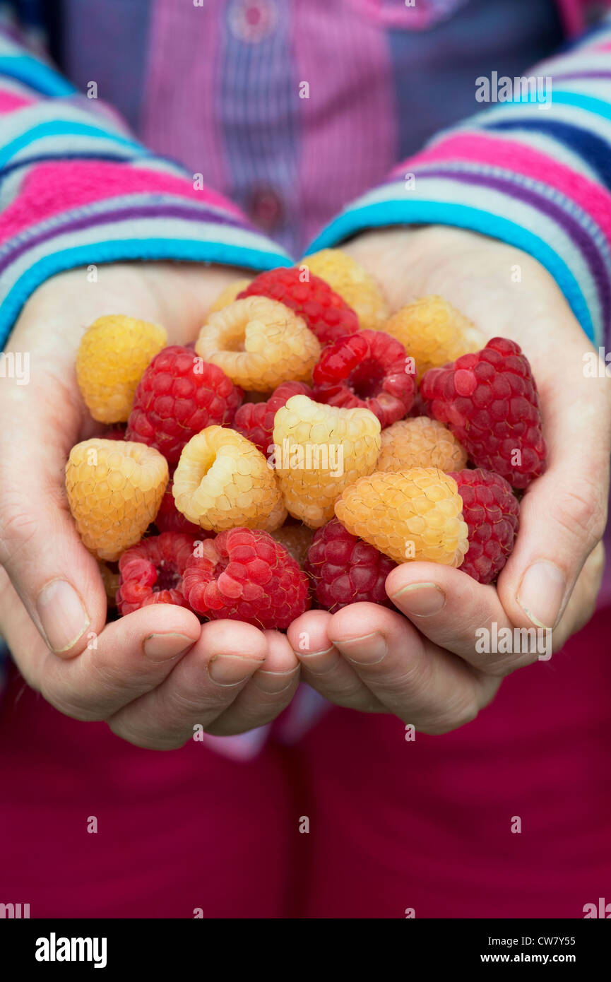 Picked by hands hi-res stock photography and images - Alamy
