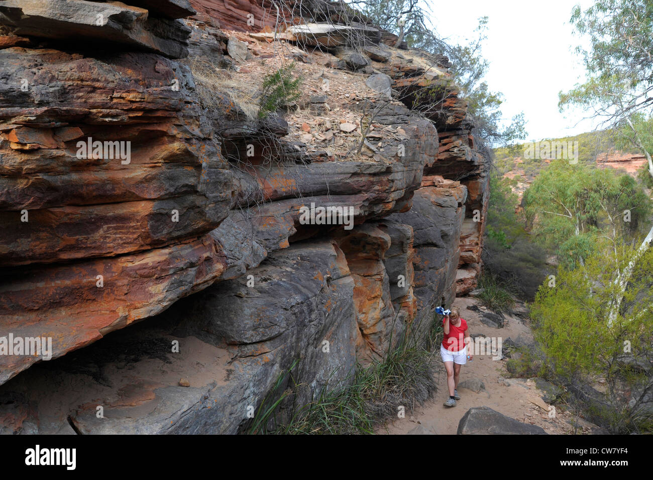 Walking the Gorge Trail in the Kalbarri National Park Western Australia ...