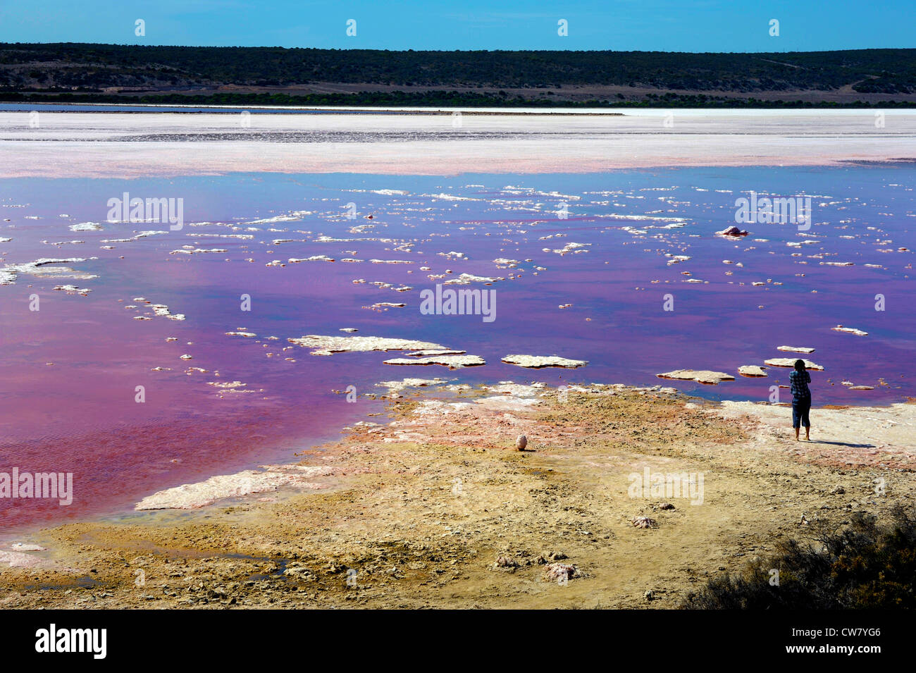 Pink lake salt bacteria hi-res stock photography and images - Alamy