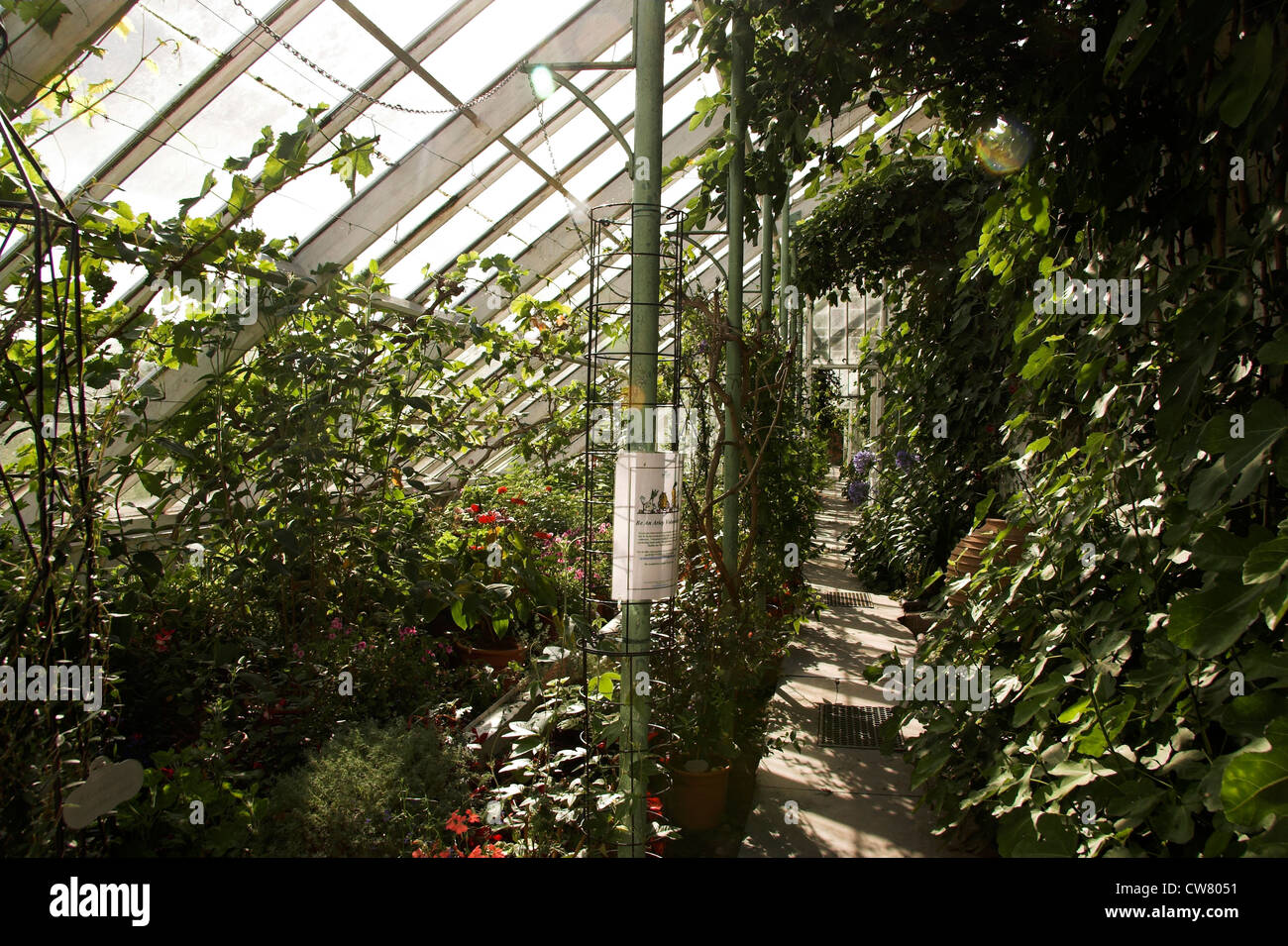 Victorian vinery hi-res stock photography and images - Alamy