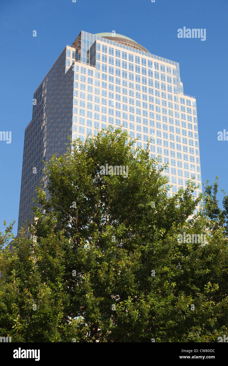 New York City building behind trees Stock Photo - Alamy