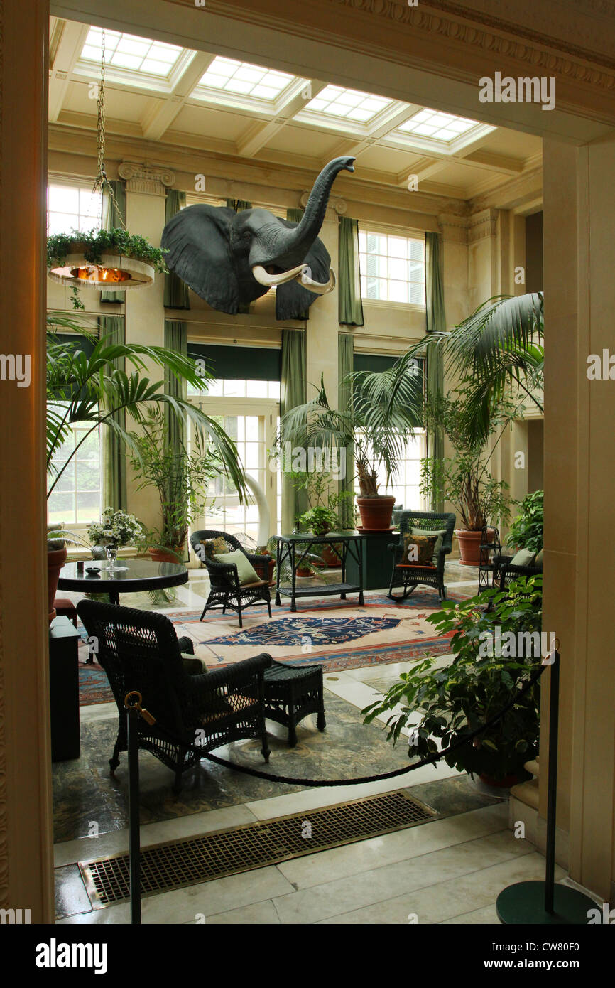 Elephant In The Room Stock Photo - Alamy