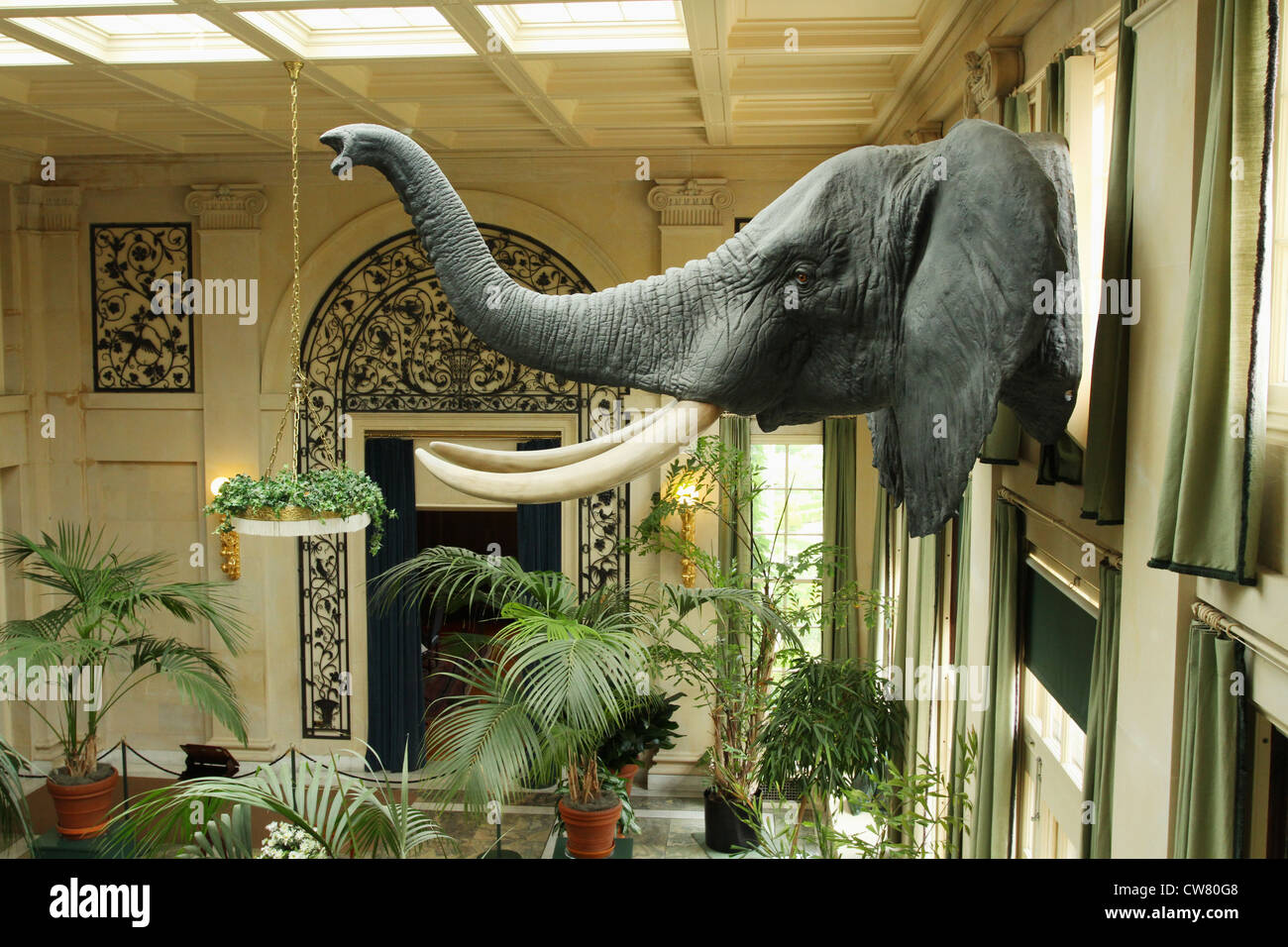 Elephant In The Room Stock Photo - Alamy