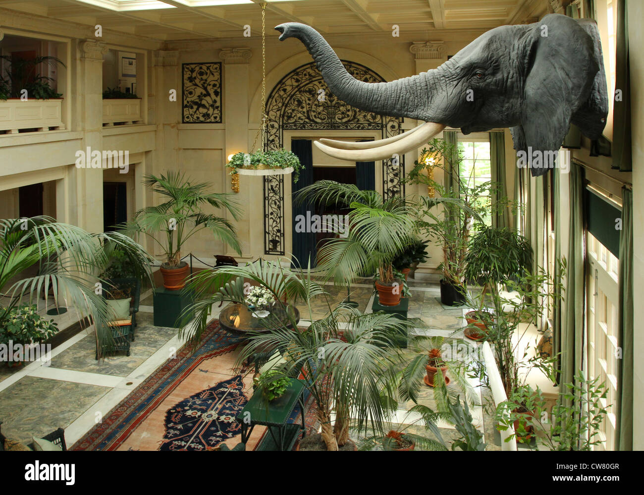Elephant in the room hi-res stock photography and images - Alamy