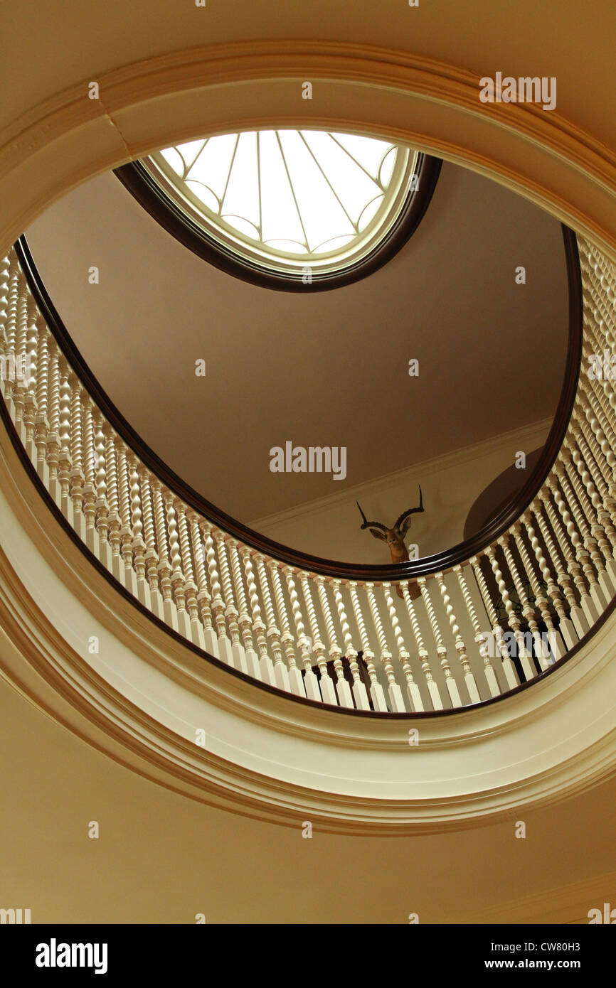 Interior skylight and circular railing with taxidermy animal Stock ...